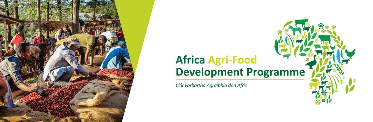 Africa Agri-Food Development Programme: Apply for €250K Grants for ...