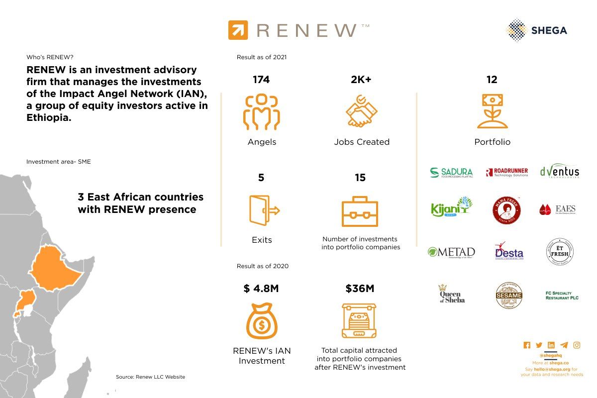 RENEW Capital's Performance in 2021