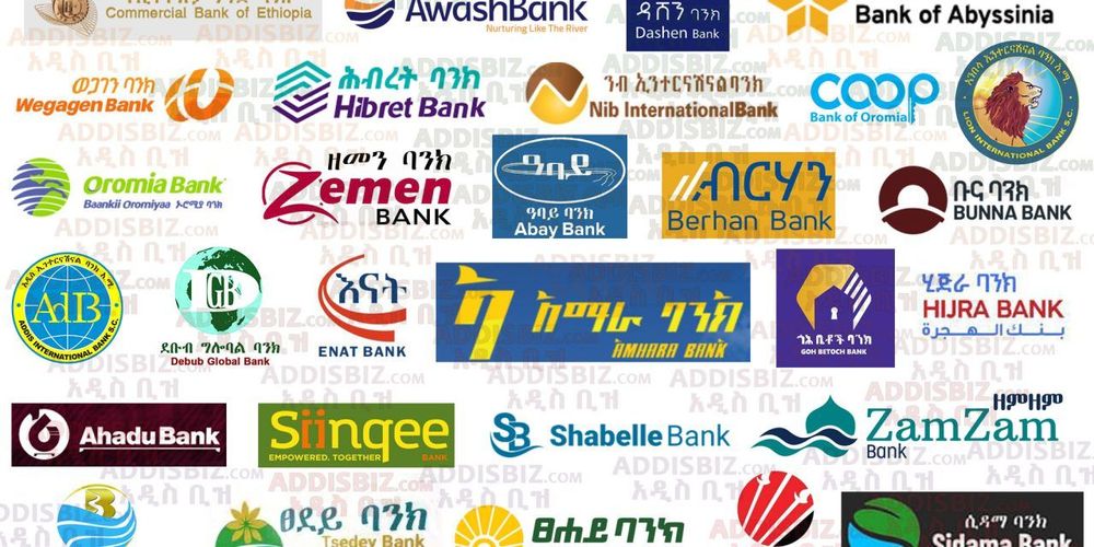 Demystifying Ethiopian Banks: Confronting Information Challenges ...